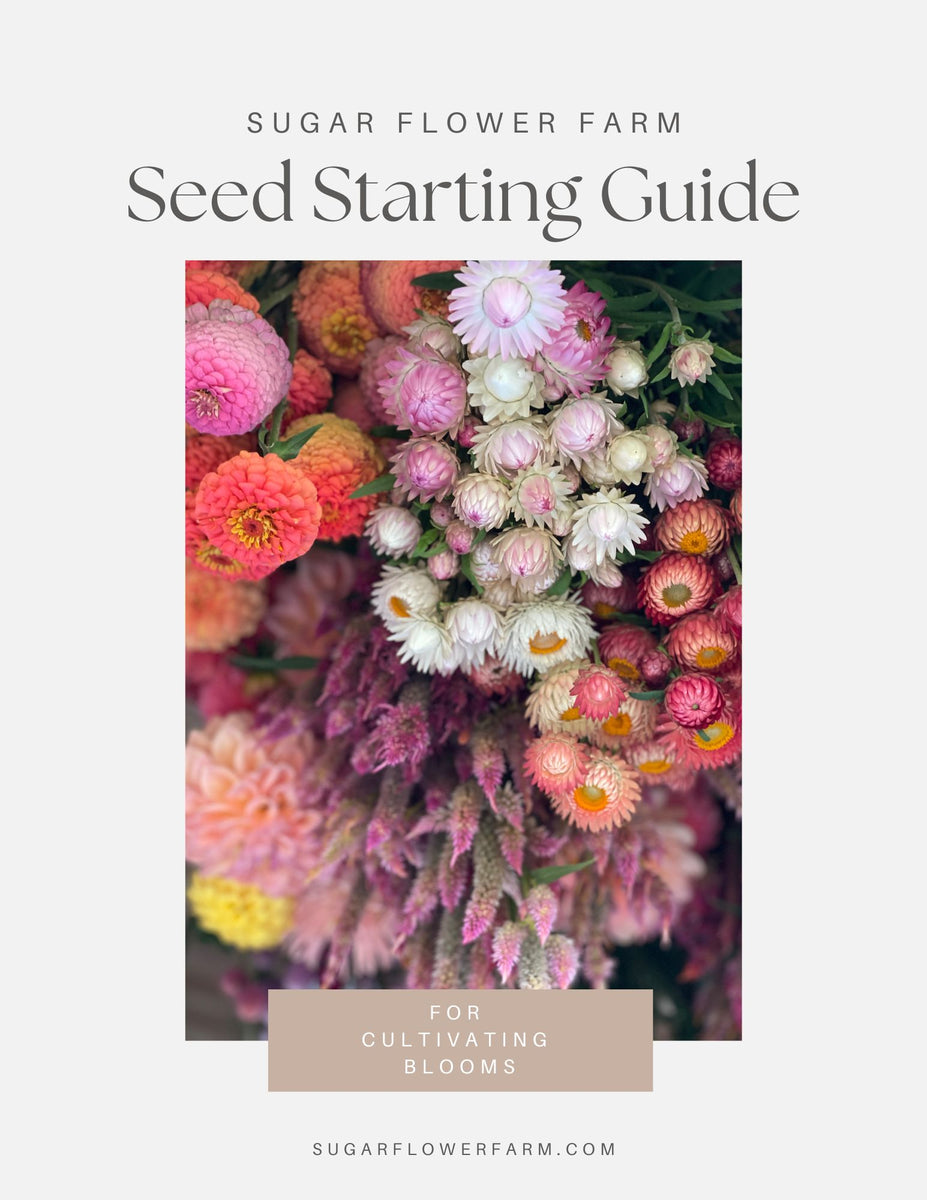 Digital Downloads – sugarflowerfarm